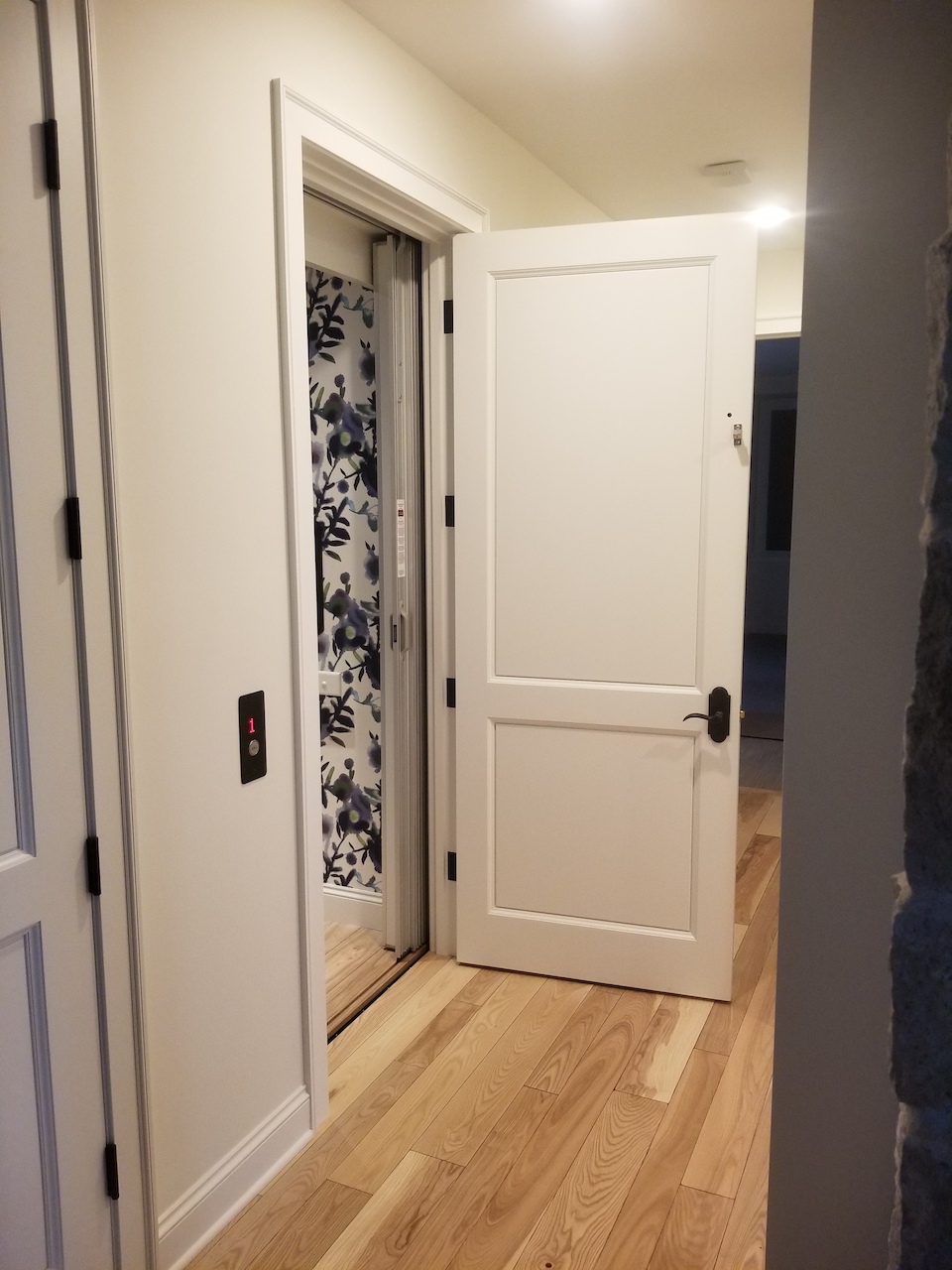 9 Examples of Luxury Home Elevators to Inspire - Arrow Lift